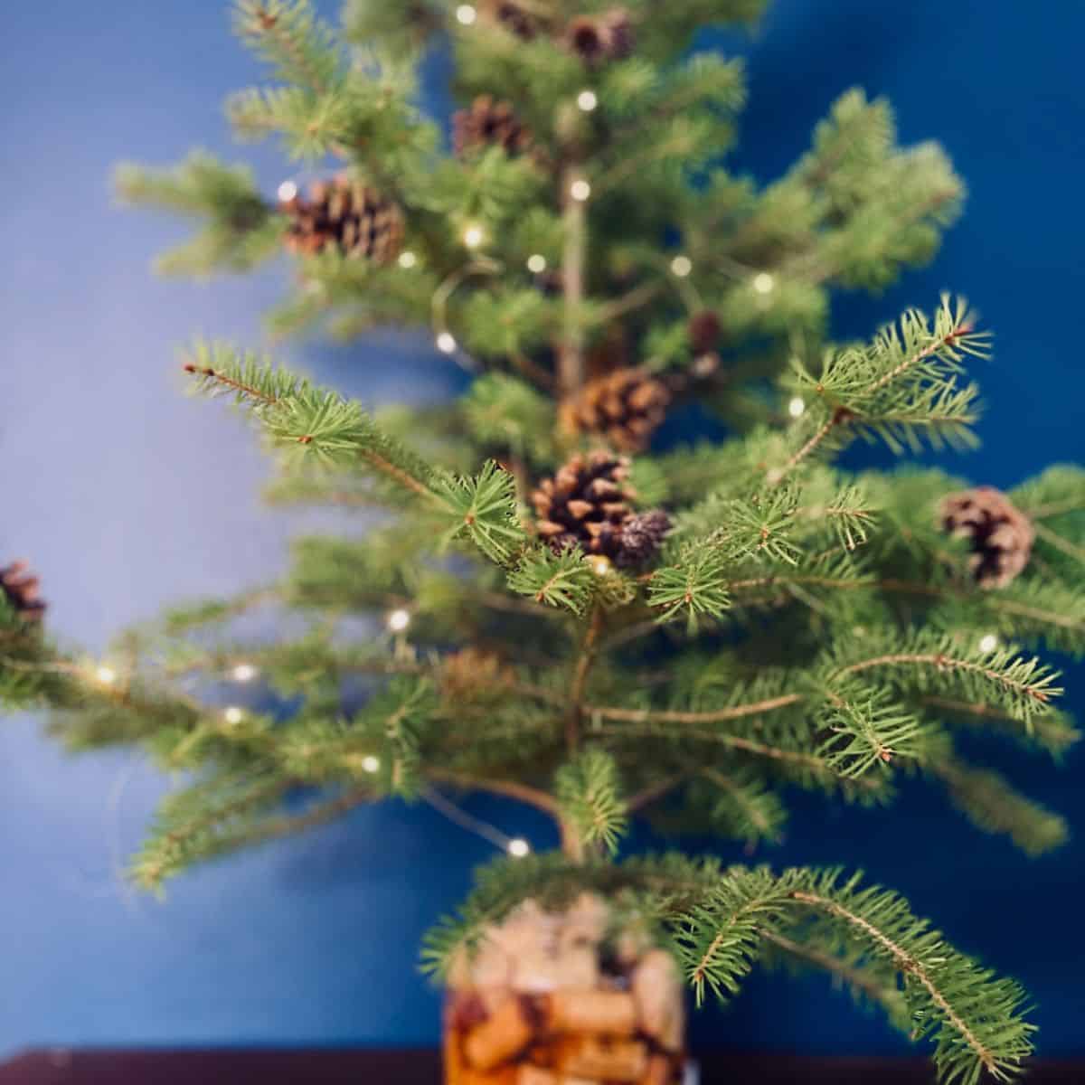 Winter Decor Ideas with Tiny Trees | Mollie in Montana~*