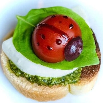 Ladybug Caprese | Mollie in Montana~*