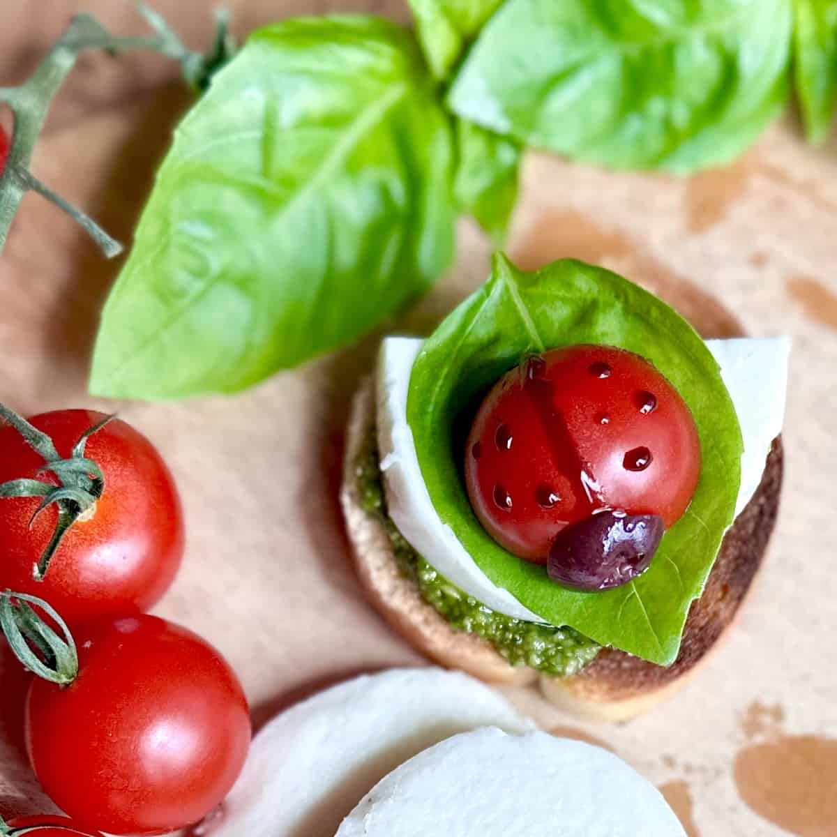 Ladybug Caprese | Mollie in Montana~*